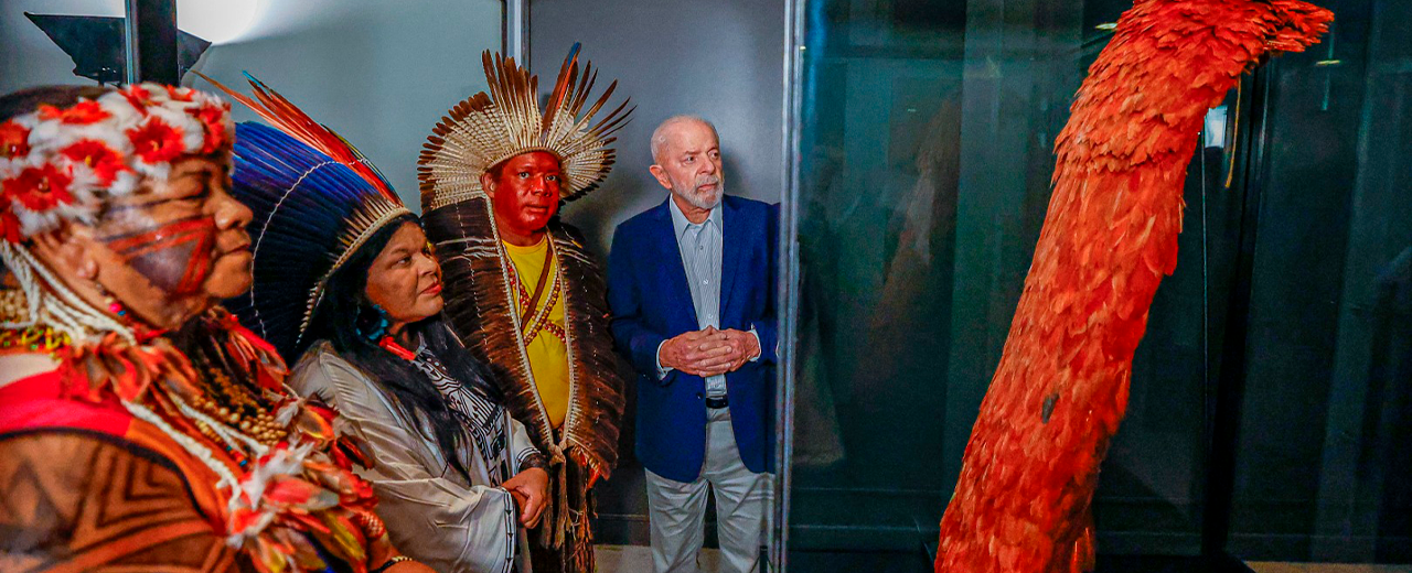 The Repatriation of the Tupinambá Cloak to Brazil - Fink